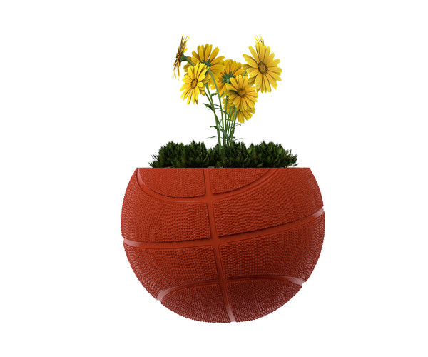 ArtStation - BasketBall Vase Plant | Resources