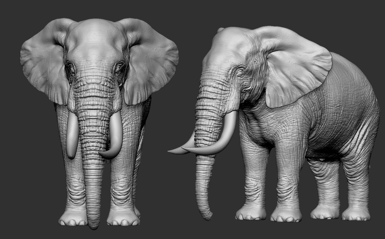 ArtStation - Elephant | Resources