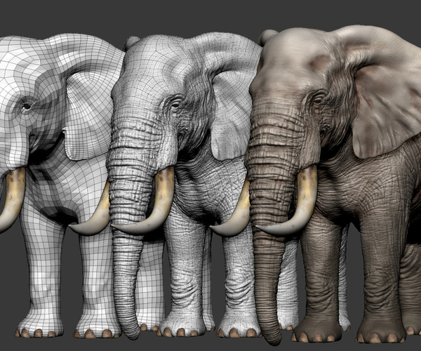 ArtStation - Elephant | Resources