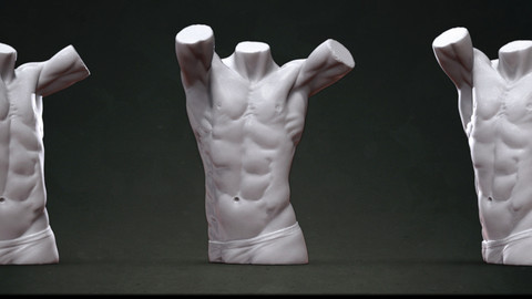 ArtStation - Male Torso Sculpt | Resources