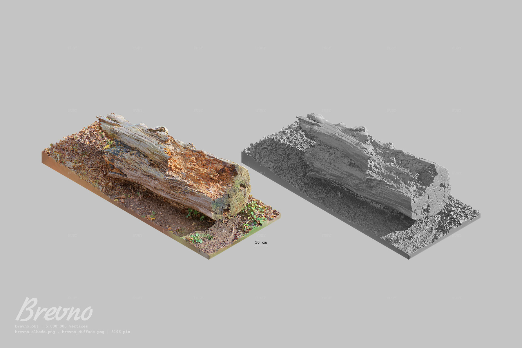 ArtStation - "Brevno" RAW 3D scan + midpoly mesh | Resources