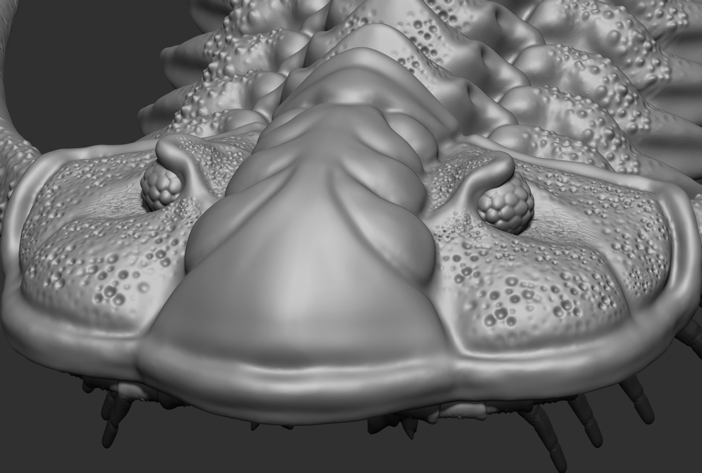 ArtStation - Trilobite | Resources