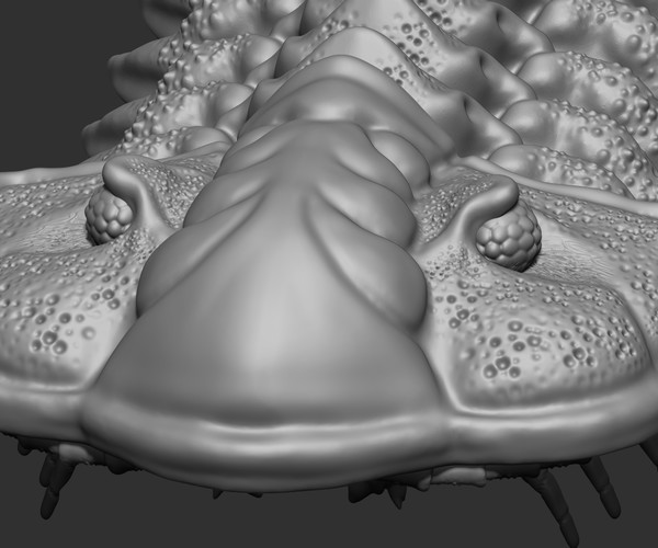 ArtStation - Trilobite | Resources