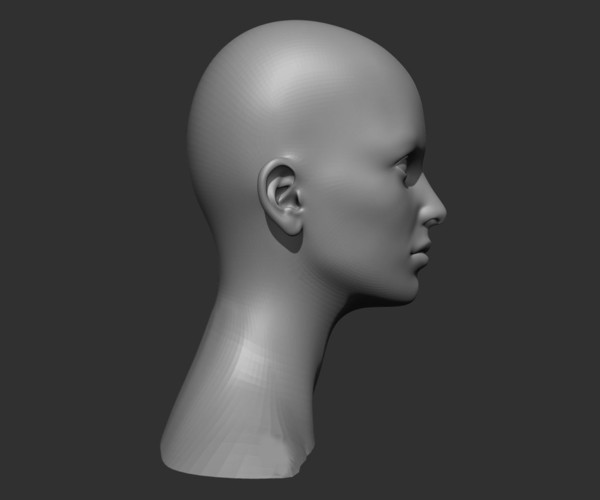 ArtStation - Female Head Realistic Base Mesh 3D Model | Game Assets