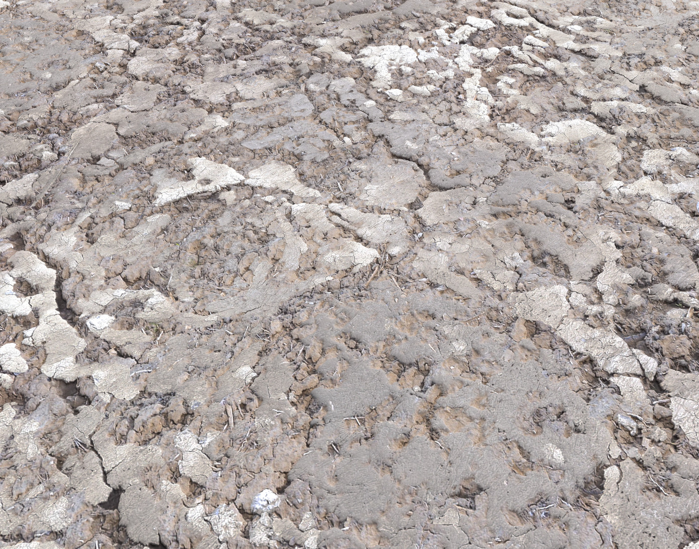 ArtStation - Desert Wasteland ground PBR Pack 2 Textures | Resources