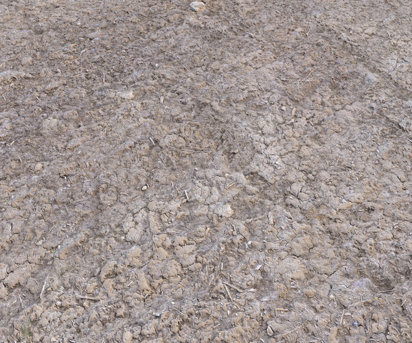 ArtStation - Desert Wasteland ground PBR Pack 2 Textures | Resources