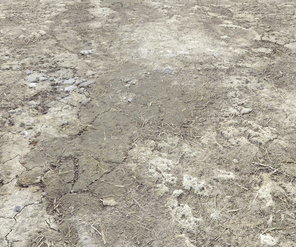 ArtStation - Desert Wasteland ground PBR Pack 2 Textures | Resources