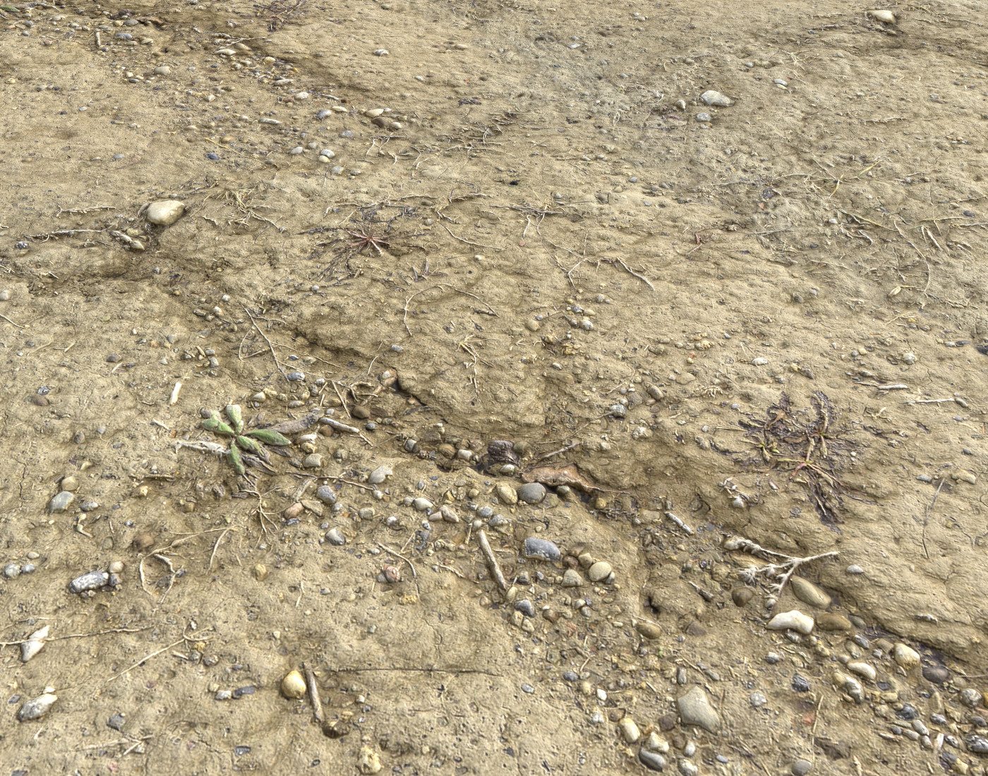 ArtStation - Desert Wasteland ground PBR Pack 3 Textures | Resources