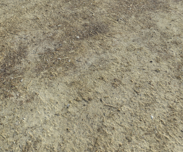 ArtStation - Desert Wasteland ground PBR Pack 3 Textures | Resources