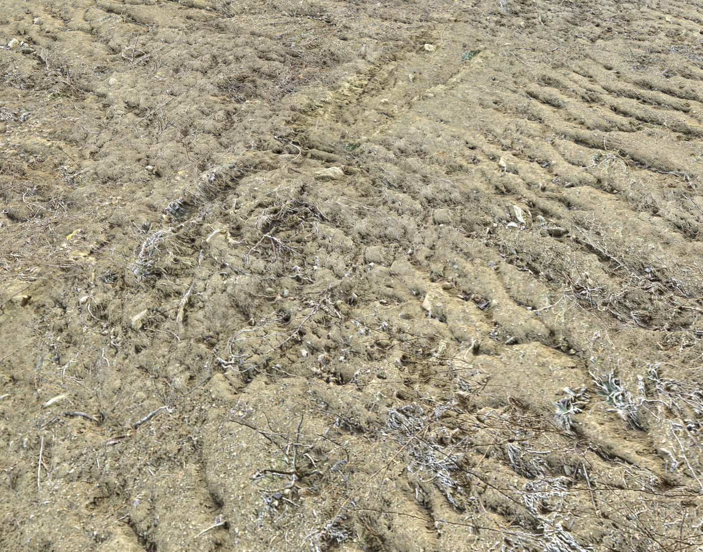 ArtStation - Desert Wasteland ground PBR Pack 3 Textures | Resources