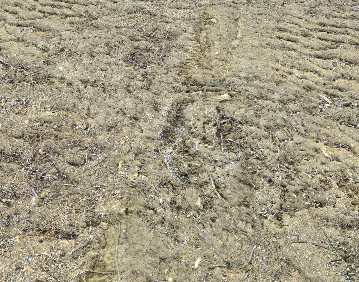 ArtStation - Desert Wasteland ground PBR Pack 3 Textures | Resources