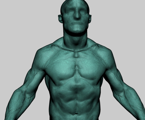 ArtStation - Base Male Anatomy | Resources