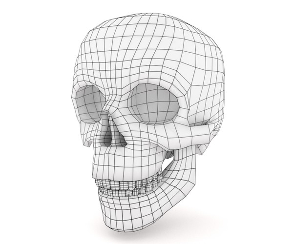 ArtStation - 3D Model: Skull | Resources