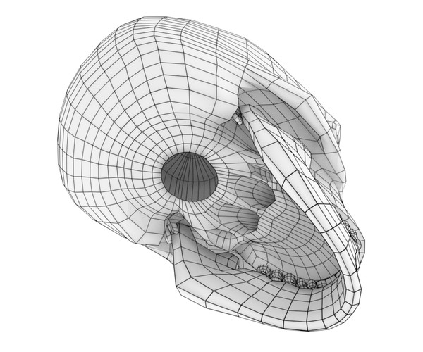 ArtStation - 3D Model: Skull | Resources