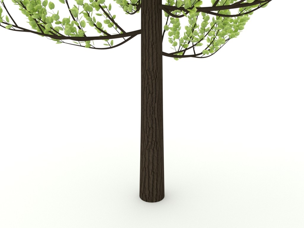 ArtStation - 3D Model: Standard Tree | Resources