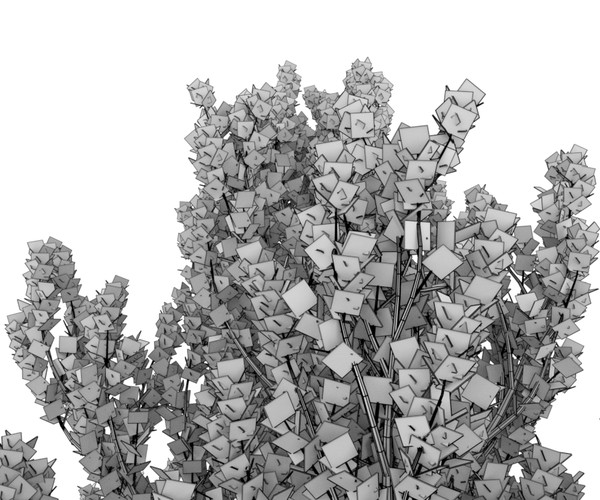 ArtStation - 3D Model: Standard Tree | Resources