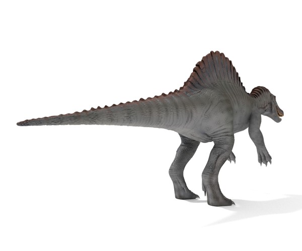 ArtStation - 3D Model: Spinosaurus | Resources
