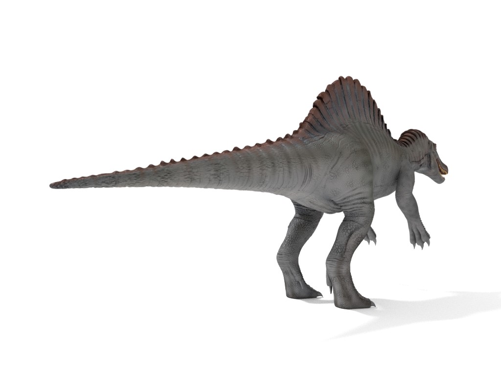 ArtStation - 3D Model: Spinosaurus Rigged | Resources