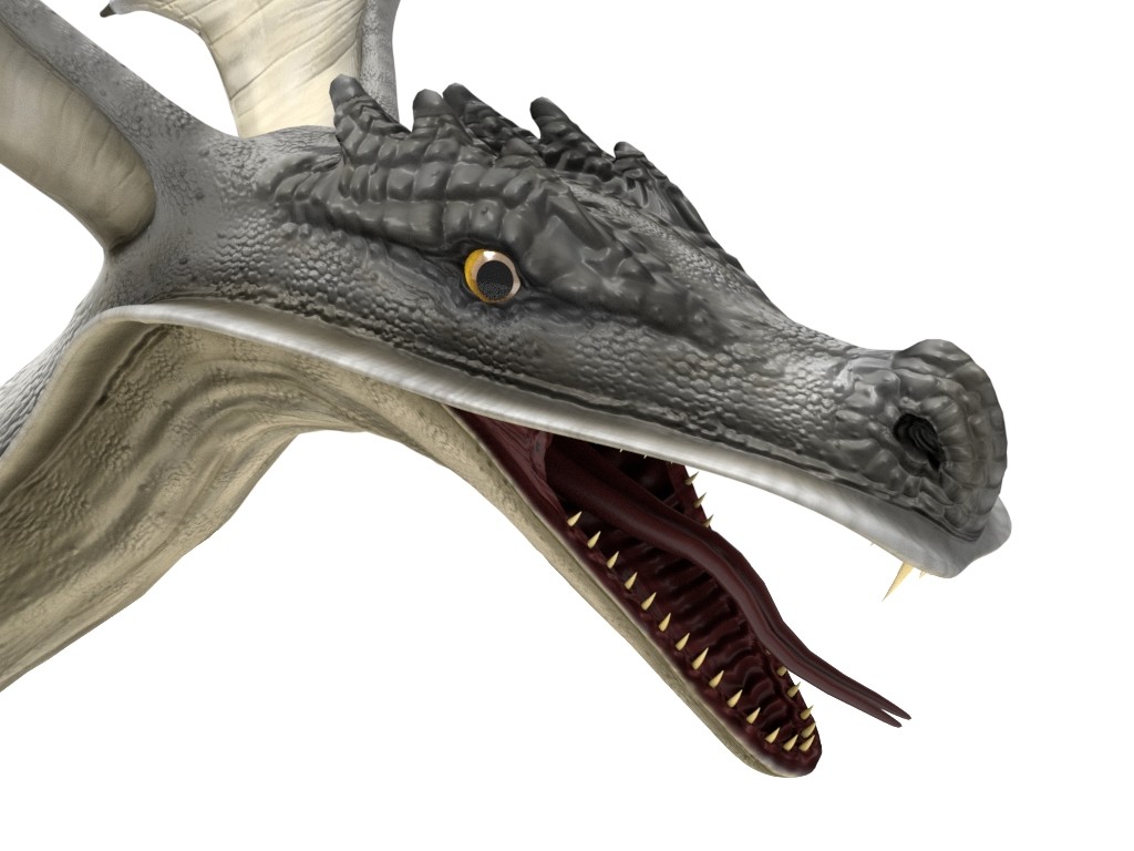 ArtStation - 3D Model: Dragon Rigged | Resources