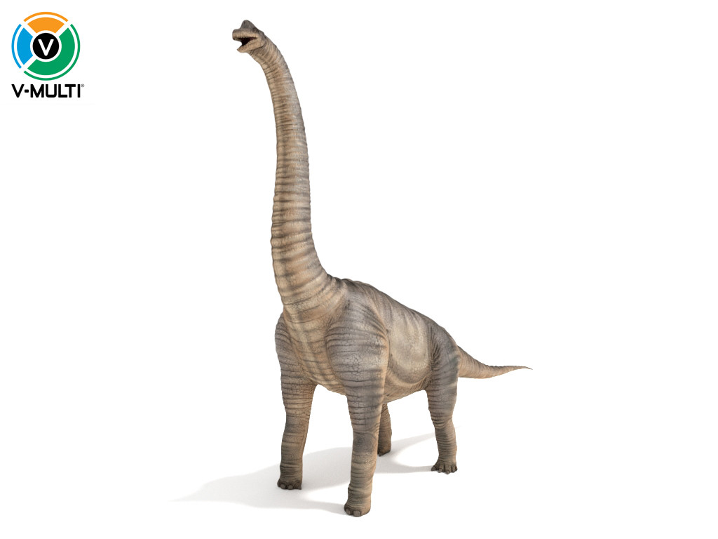 ArtStation - 3D Model: Brachiosaurus | Resources