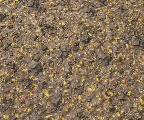 ArtStation - Mud Ground | Game Assets