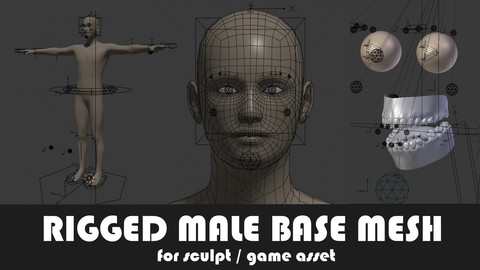 ArtStation - Fully Rigged Male Base Mesh with Face Rig for Blender ...