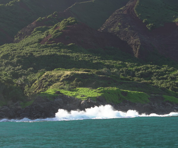 ArtStation - REF PACK TROPICAL ISLAND RAINFOREST | Resources