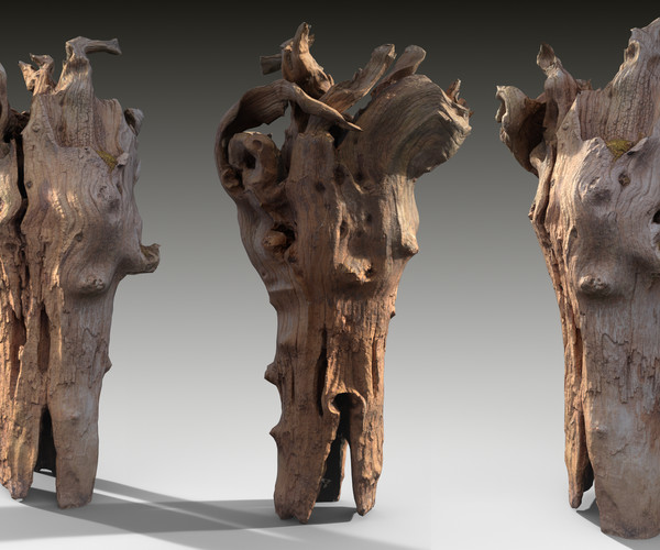 ArtStation - Twisted Tree Stump Scan | Resources