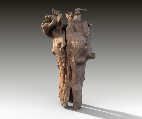 ArtStation - Twisted Tree Stump Scan | Resources