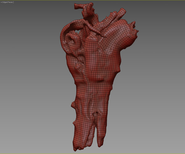 ArtStation - Twisted Tree Stump Scan | Resources