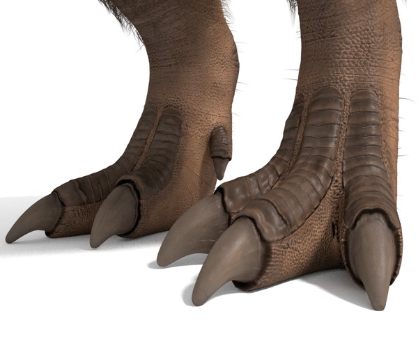 ArtStation - 3D Model: Tyrannosaurus Rex Fur | Resources