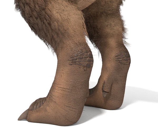 ArtStation - 3D Model: Tyrannosaurus Rex Fur | Resources