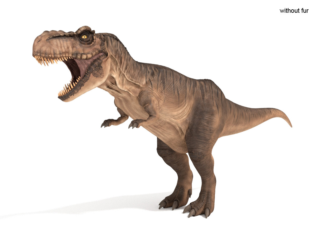 ArtStation - 3D Model: Tyrannosaurus Rex Fur | Resources