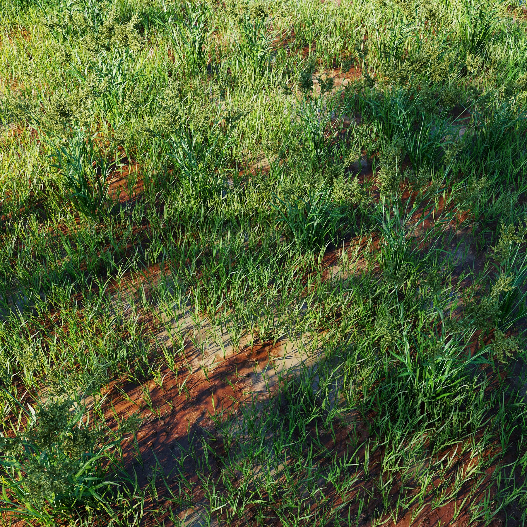 ArtStation - High Details Grass Vol_02 | Resources
