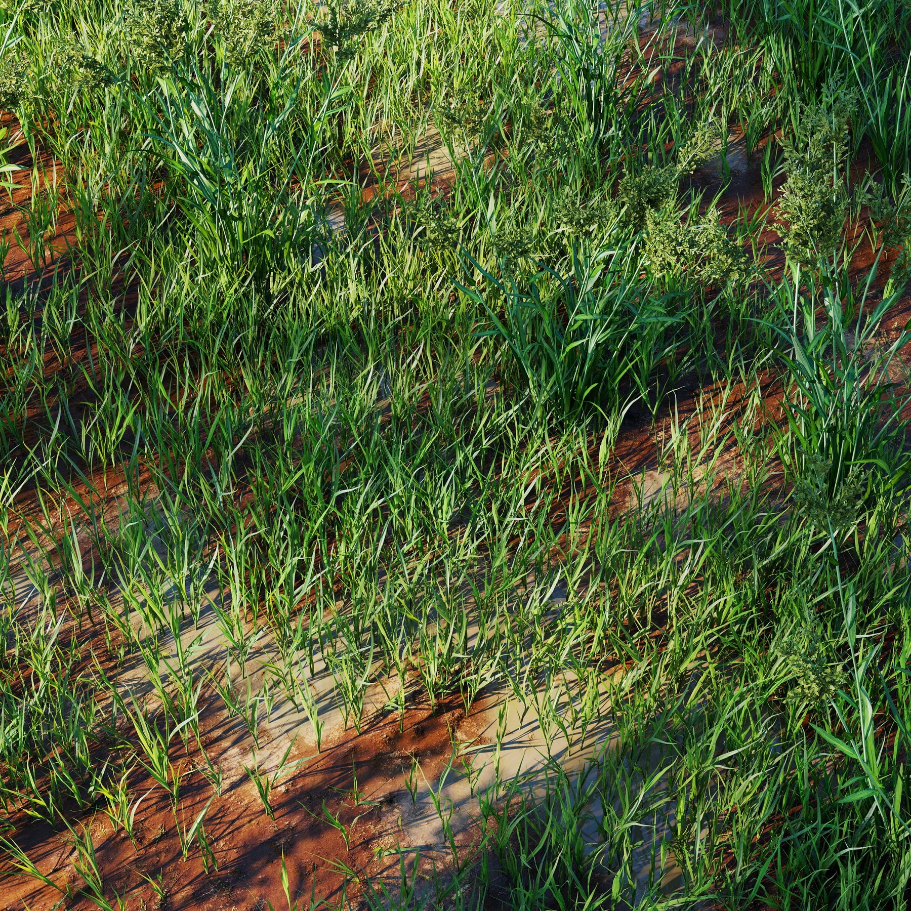 ArtStation - High Details Grass Vol_02 | Resources