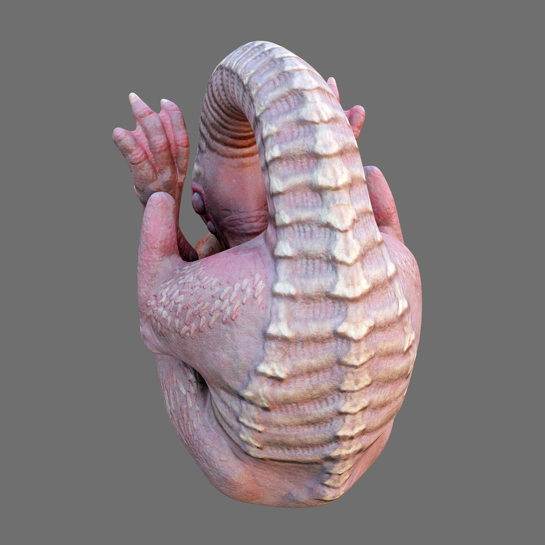 ArtStation - Alien Bird Fetus | Game Assets