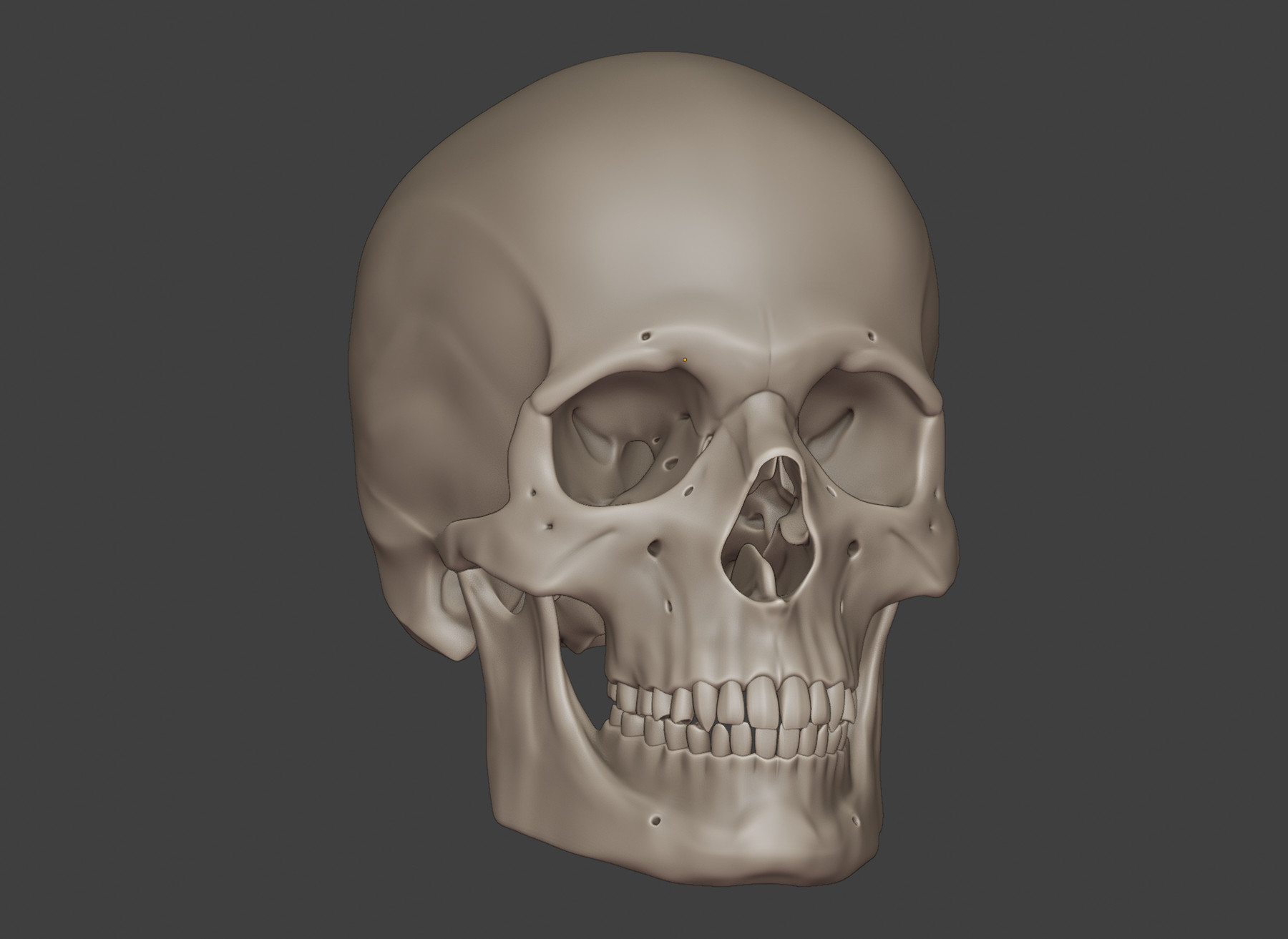 ArtStation - Perfect Shaped Skull Basemesh WIP | Resources