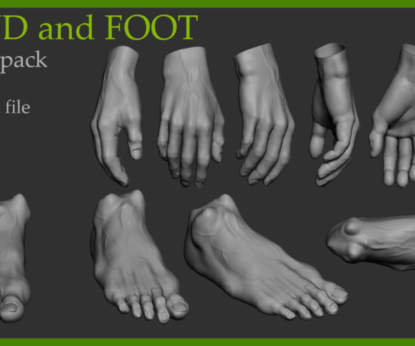 ArtStation - Hand and Foot model | Game Assets