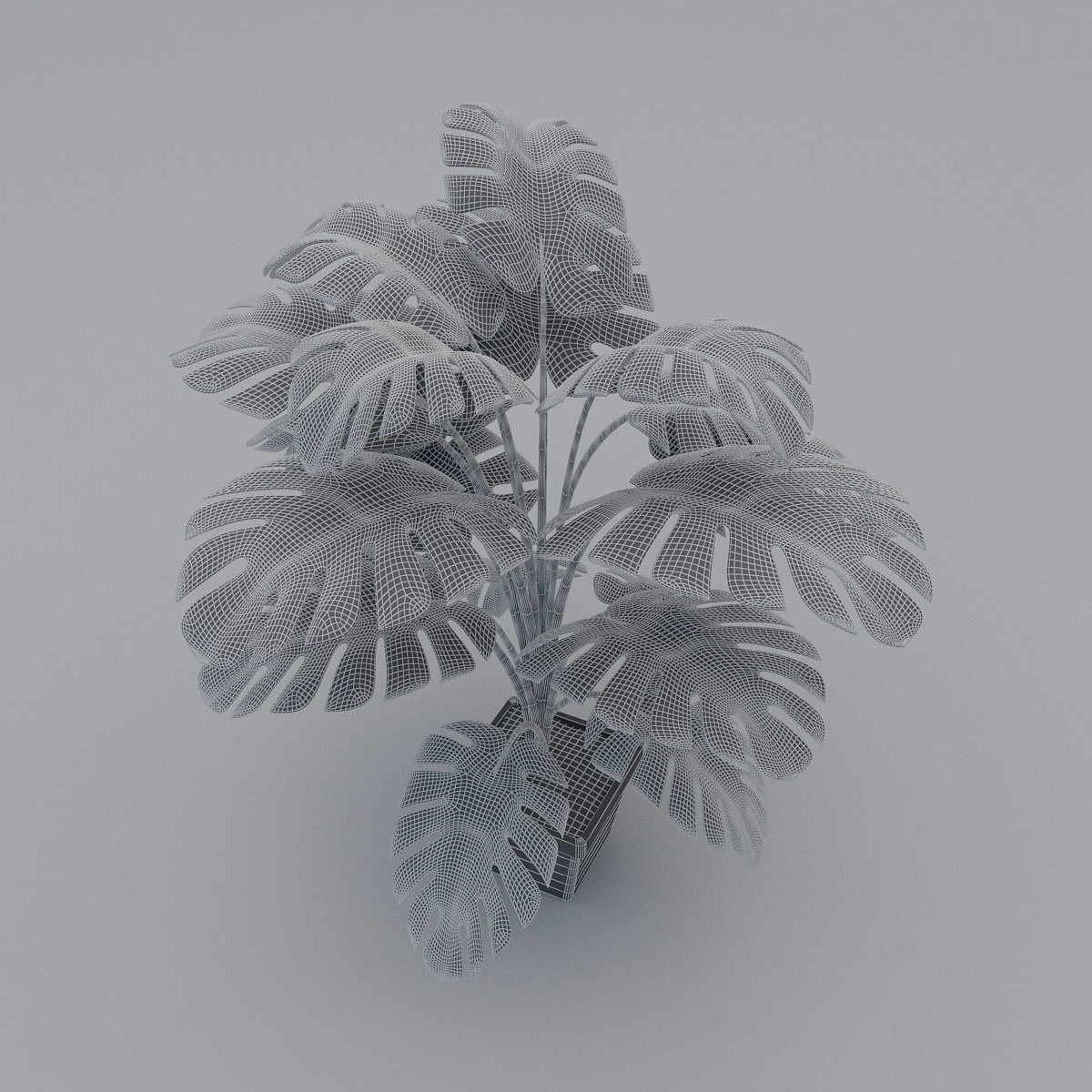 ArtStation - Monstera Leaves 3D Model | Resources