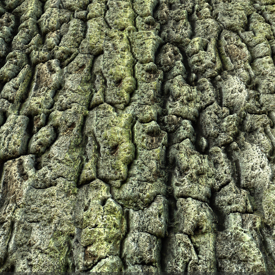 ArtStation - Tree Bark 7 Material Set | Game Assets