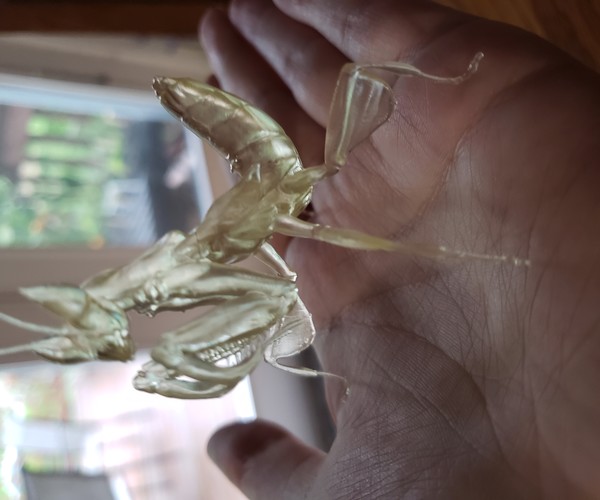 ArtStation - Orchid Mantis 3D Print Ready | Resources