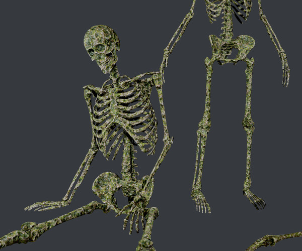 ArtStation - 10 Skeletons Old and Mossy Game Ready | Game Assets