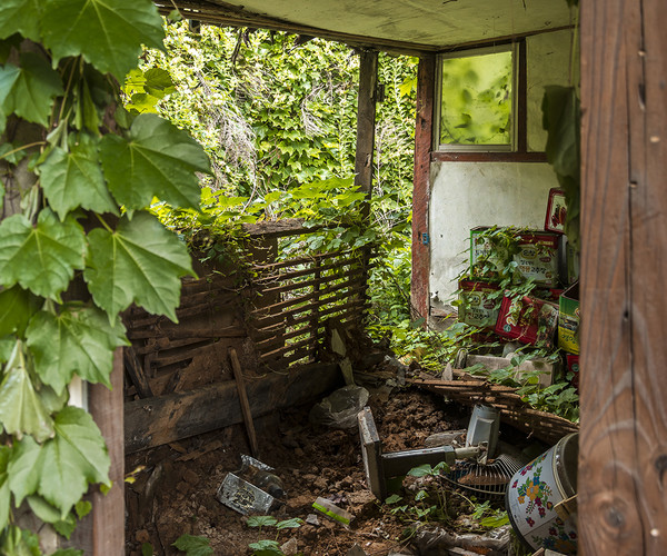 ArtStation - Photo Reference Pack: Abandoned Houses | Resources