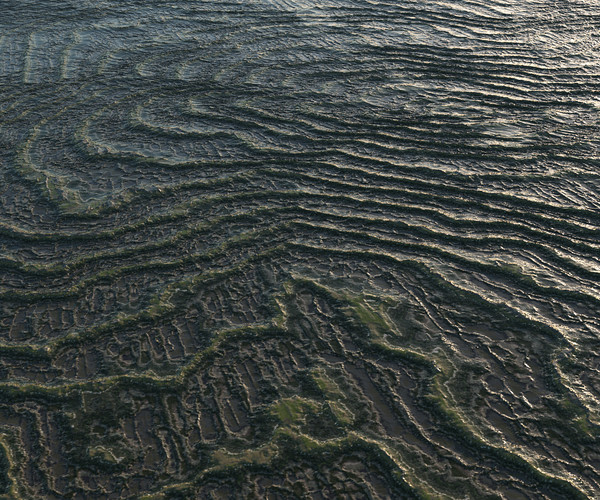 ArtStation - Height/Displacement map pack II Alien Environment | Game ...