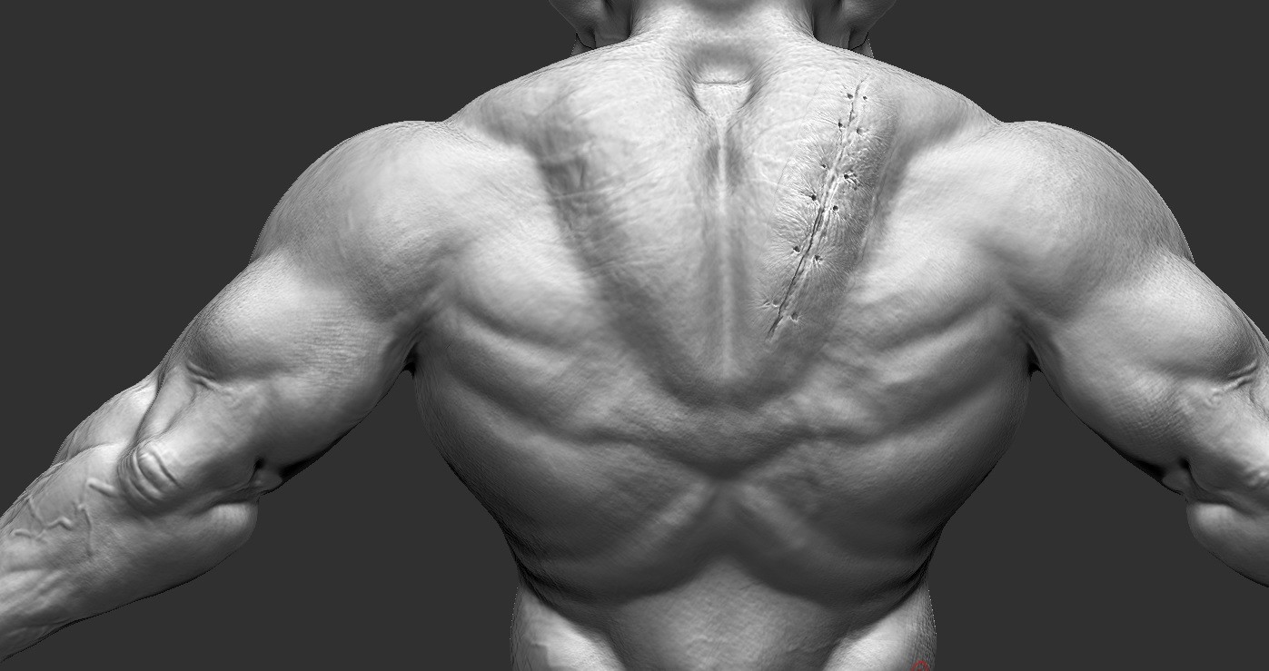 ArtStation - Brush wound | Brushes