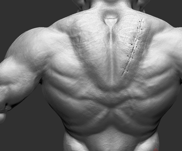 ArtStation - Brush wound | Brushes