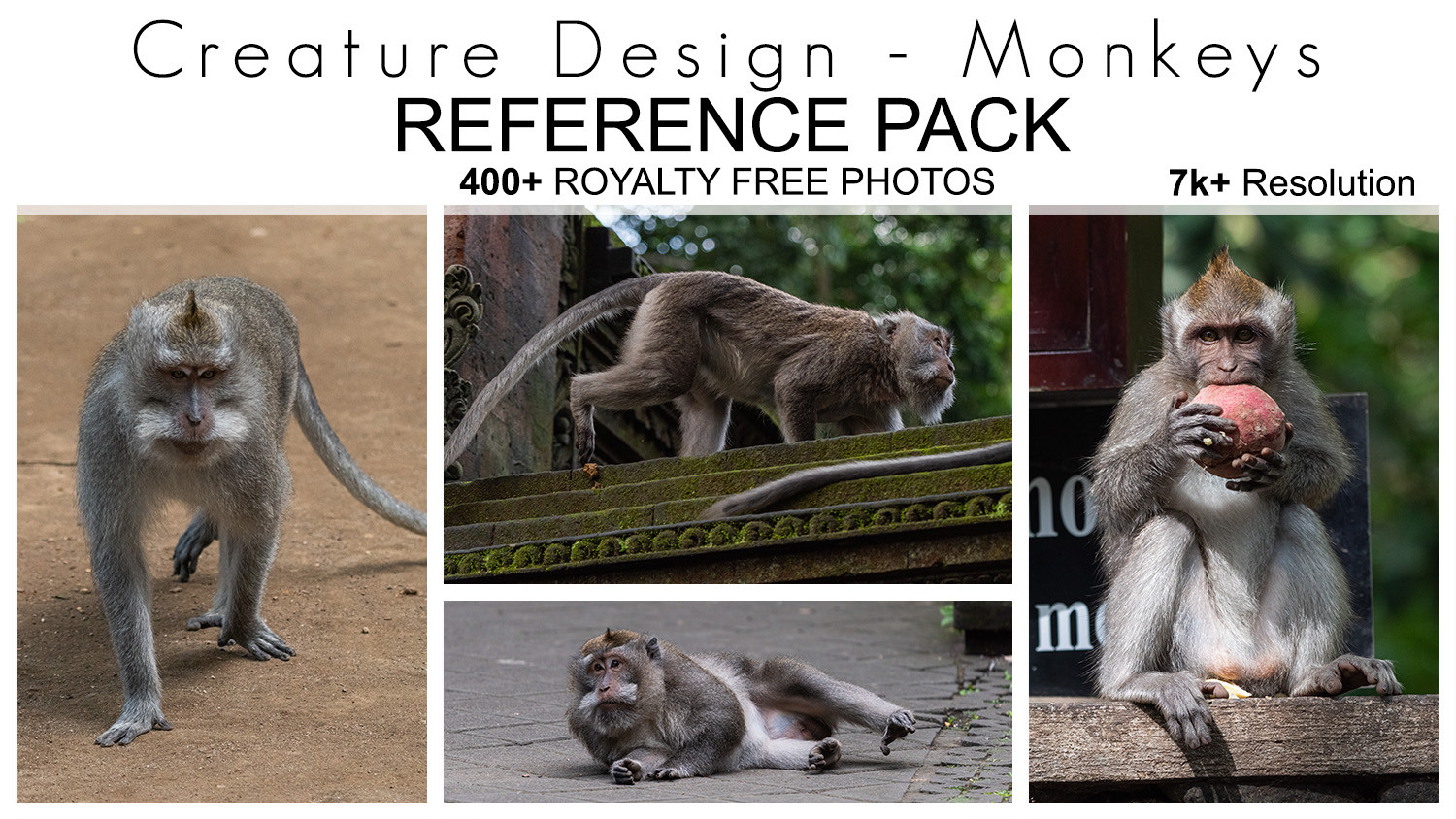 ArtStation - Creature Design Reference Pack - Monkeys | Resources