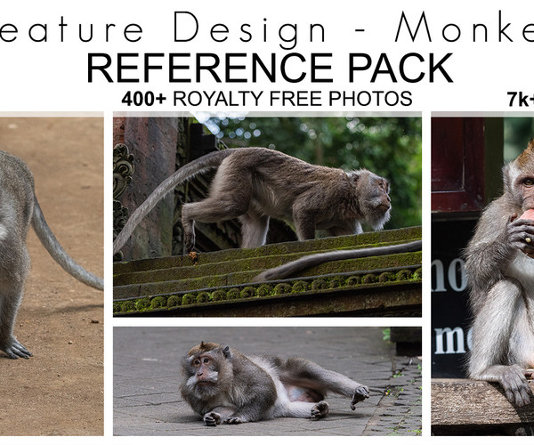 ArtStation - Creature Design Reference Pack - Monkeys | Resources