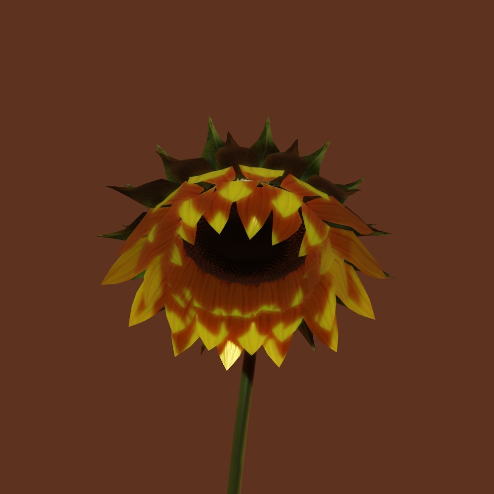 ArtStation - sunflower | Game Assets