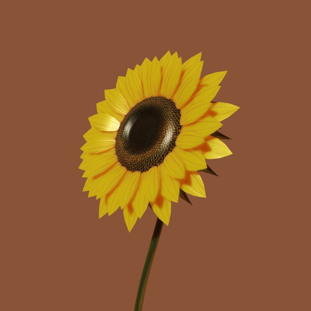 ArtStation - sunflower | Game Assets